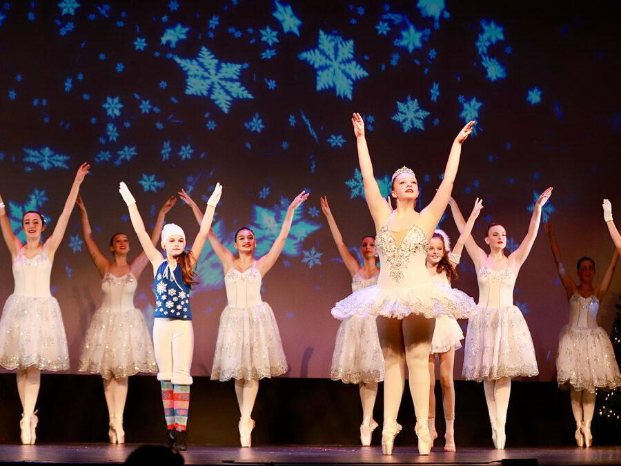 Support – Institute for Dance